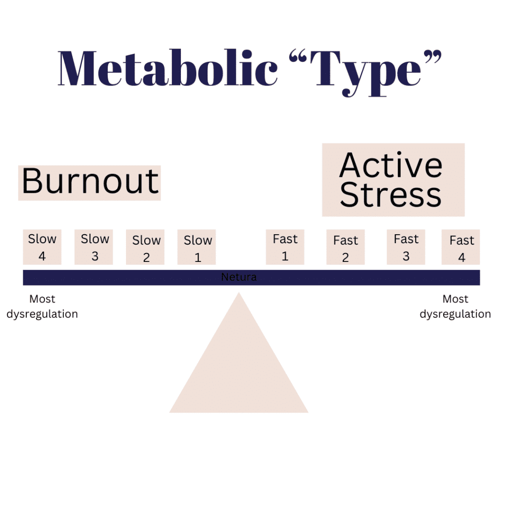 HTMA Mineral Testing
