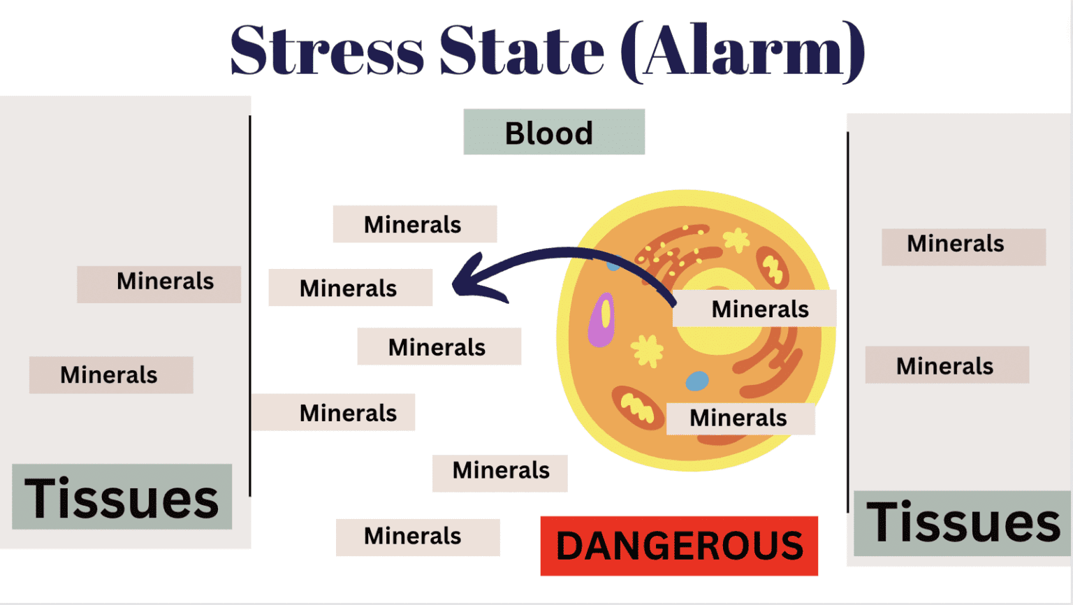 HTMA Mineral Testing