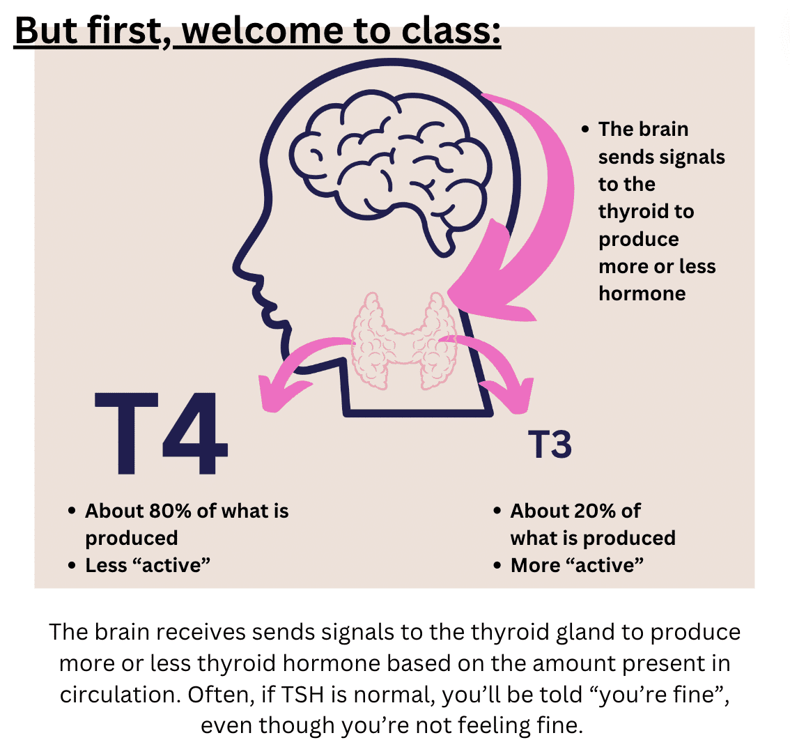 Is Low T3 the Reason You're Feeling "Blah"? - Chews Food Wisely